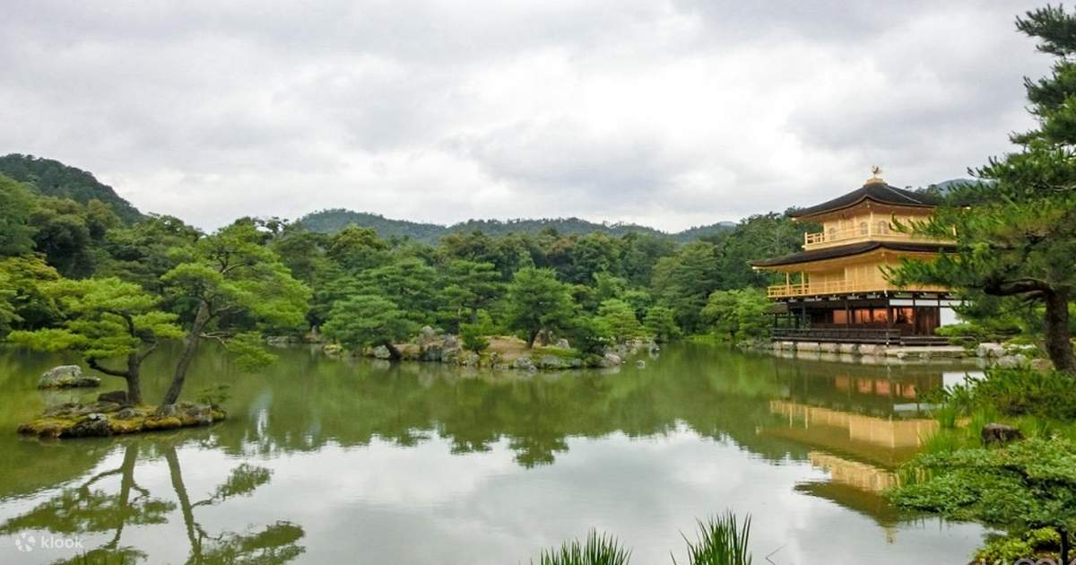 Kyoto and Nara Day Tour - Klook