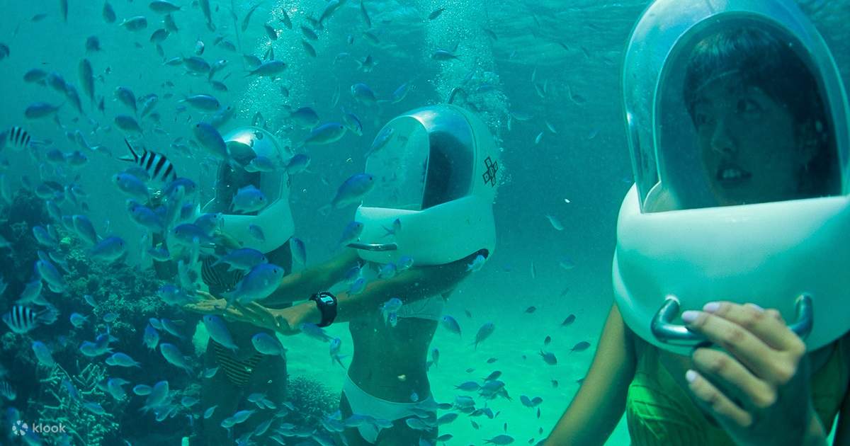 Marine Walk Experience in Naha - Klook United States