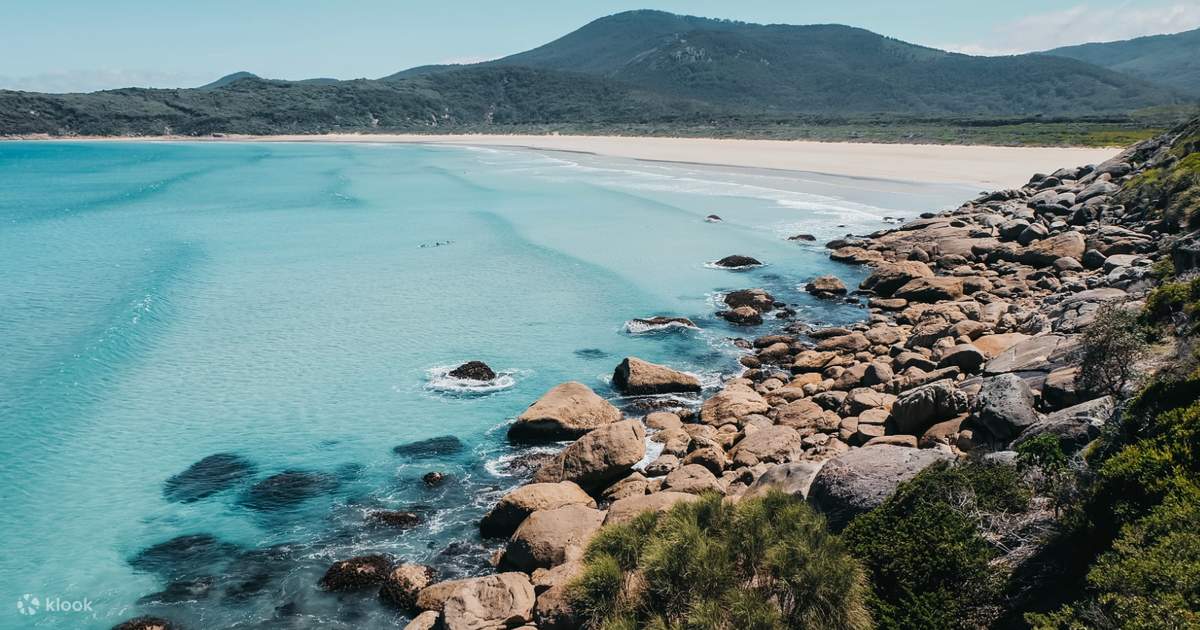Wilsons Promontory Hiking Day Tour - Klook