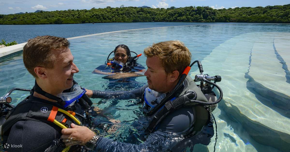 Dive Smarter: PADI Open Water Diver E-learning Course in Bali - PADI 5 ...