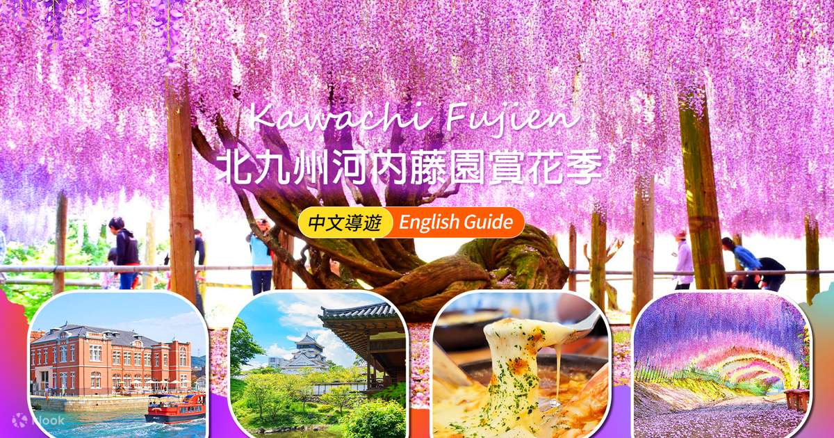 Flower viewing only｜Kitakyushu｜Mojiko Port, Karato Market, Kokura ...