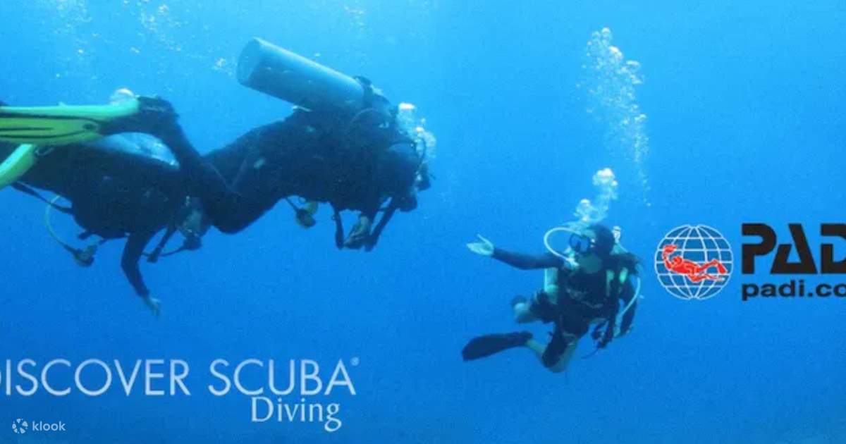 PADI Discover Scuba Diving in Florida with PADI Dive Center - Klook
