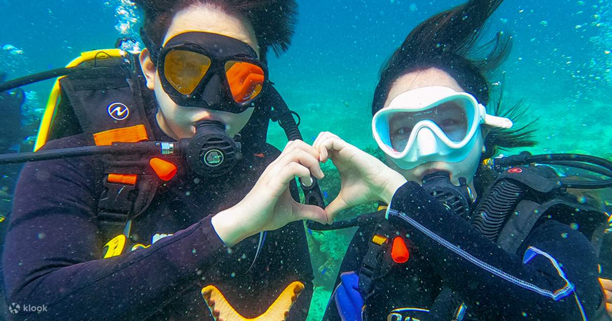 Pengalaman Menyelam SCUBA yang Tak Terlupakan di Cebu - Tidak Perlu ...