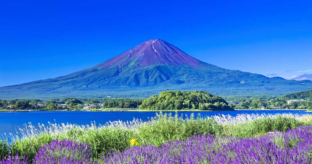 Kawaguchiko and Yamanakako Onsen on a 1-Day Bus Tour from Tokyo - Klook ...