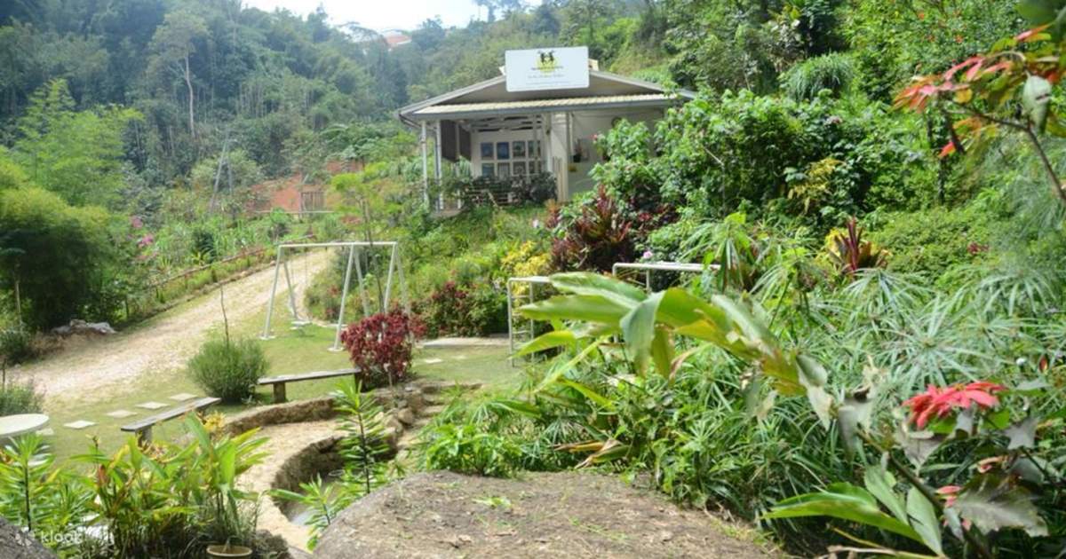 Rafflesia Half Day Trekking Trip in Cameron Highlands, Malaysia - Klook