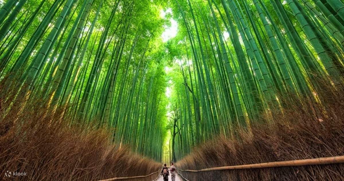 Kyoto: Arashiyama Walking Tour – UNESCO World Heritage - Klook Hong Kong