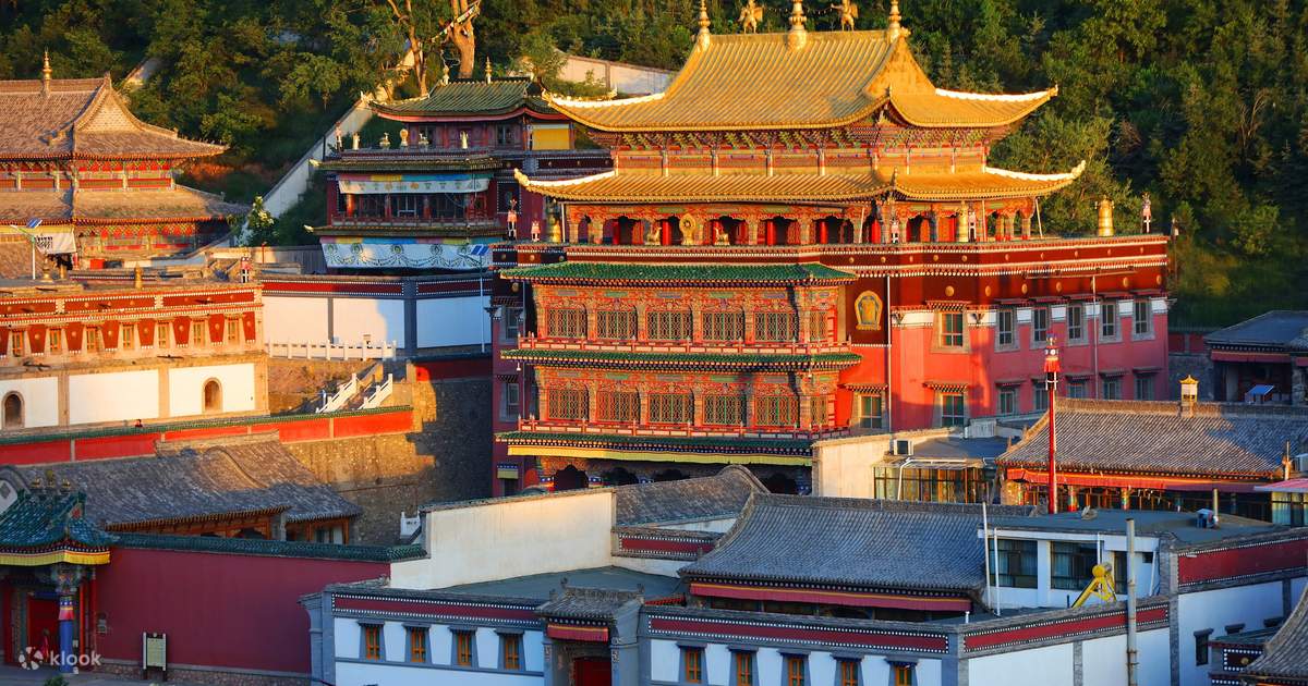 Ta'er Temple + Qinghai Lake One-Day Tour (4-9 people small group ...