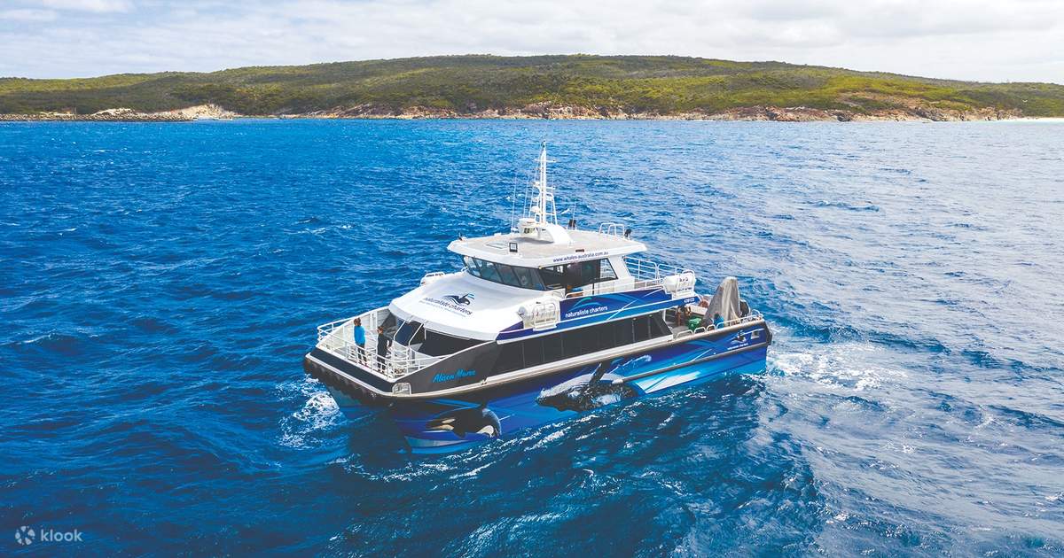 Whale Watching Experience in Dunsborough - Klook