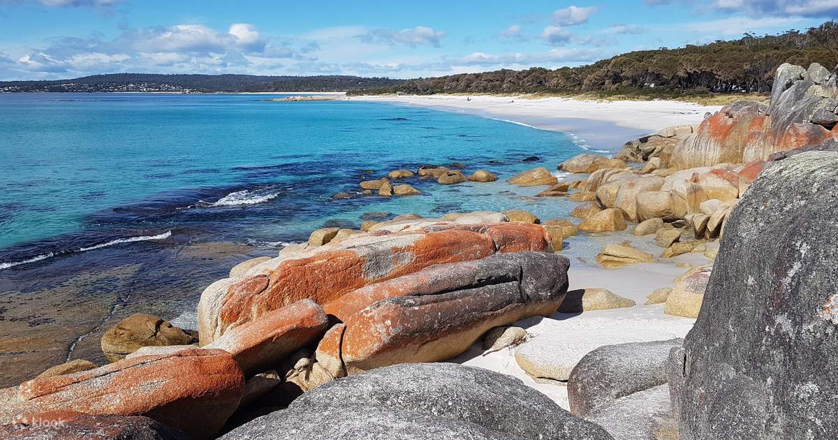 4 Day Wild Tasmania Walking Tour - Klook