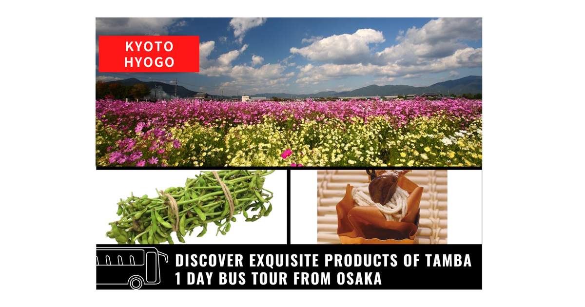 Tamba City & Kameoka Dream Cosmos Garden One Day Bus Tour from Osaka ...