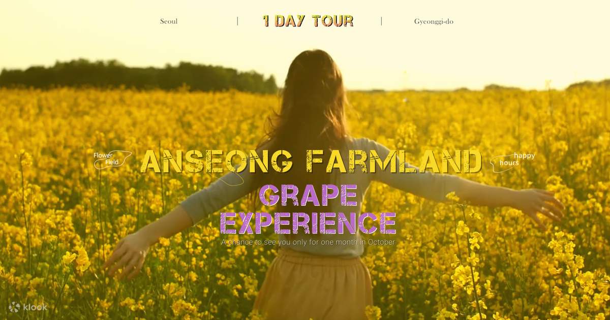 Anseong Inchegol Village and Anseong Farmland Day Trip from Seoul ...