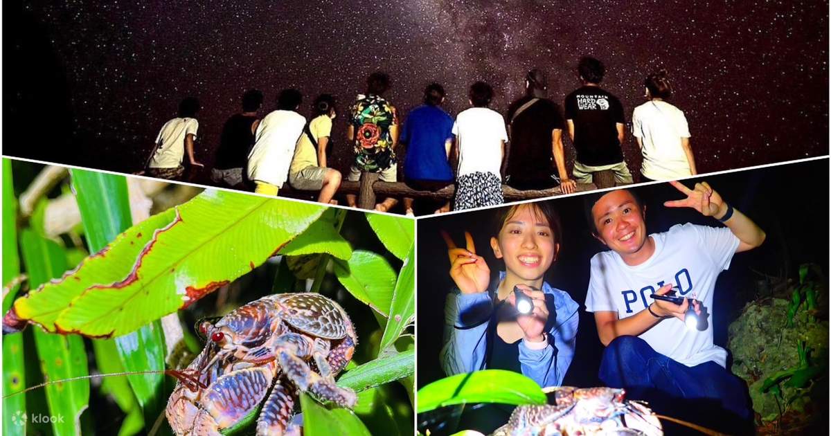 預訂亞熱帶和星空叢林夜遊享受自然天文館（宮古島） Klook 客路