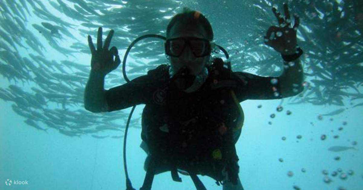 Explore Malaysia's Underwater Beauty with PADI Try Scuba Diving at the ...
