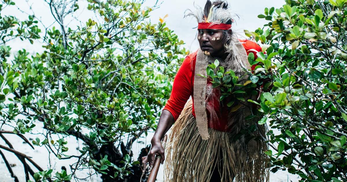 Indigenous Led Bonnin Bah Morning Tea Cruise by Tweed Eco Cruises in ...