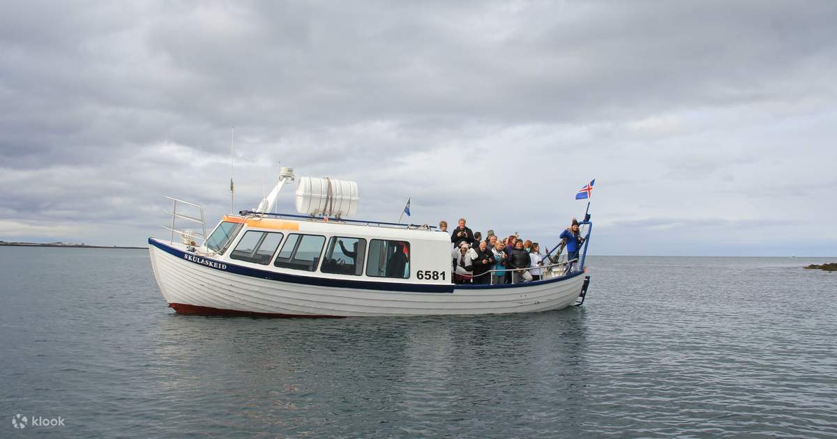 ทัวร์ Puffin Express พร้อมเรือธรรมดา - Klook ประเทศไทย