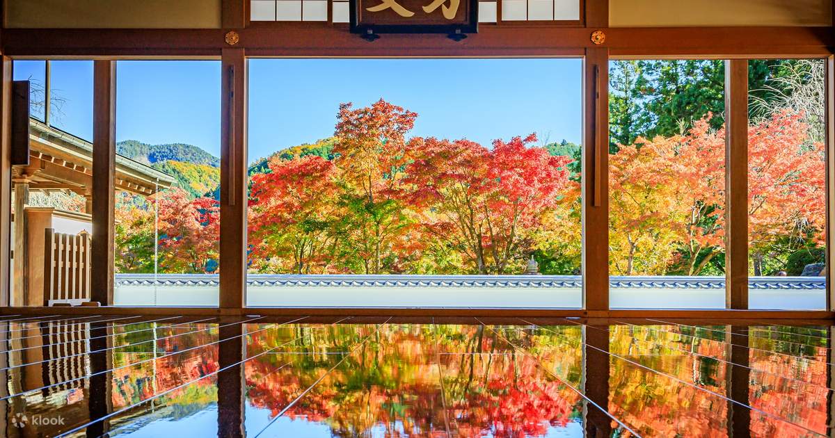 One-day maple viewing tour in Gunma: Hotokuji Temple & Takatsuto Gorge ...