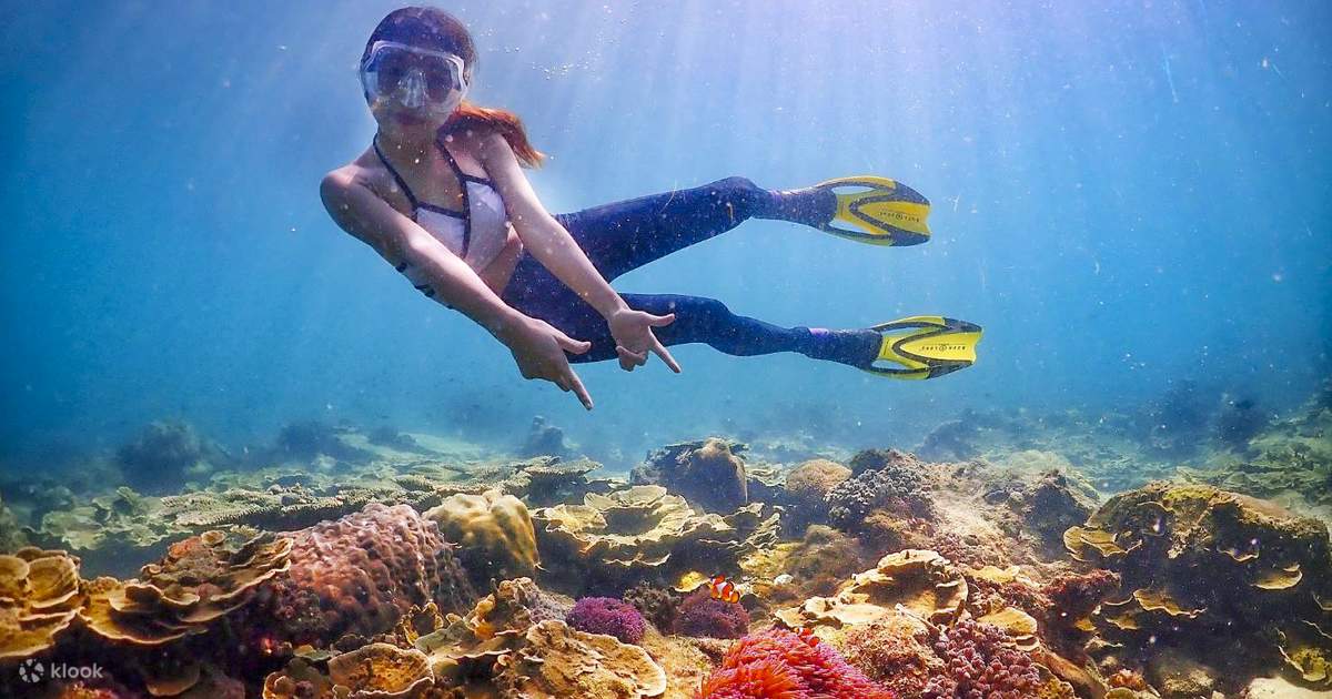 Tour 1 Ngày Ngắm Cá Nemo Và Pattaya Từ Bangkok Hoặc Pattaya - Klook ...