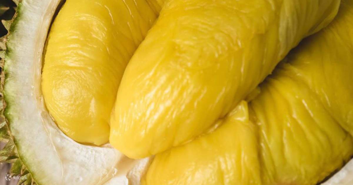 Johor Bahru Durian Day Tour from Singapore - Klook United States