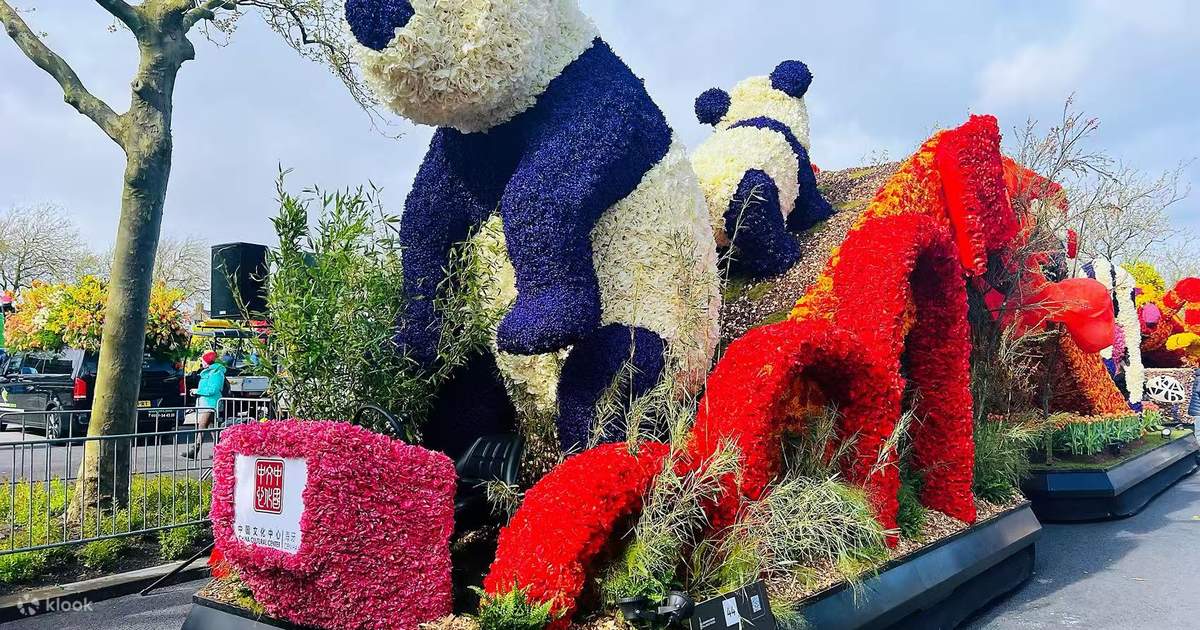 獨特的庫肯霍夫之旅，包括門票、鬱金香田、鬱金香體驗 Klook 客路
