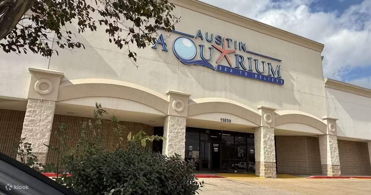 Austin Aquarium Ticket - Klook