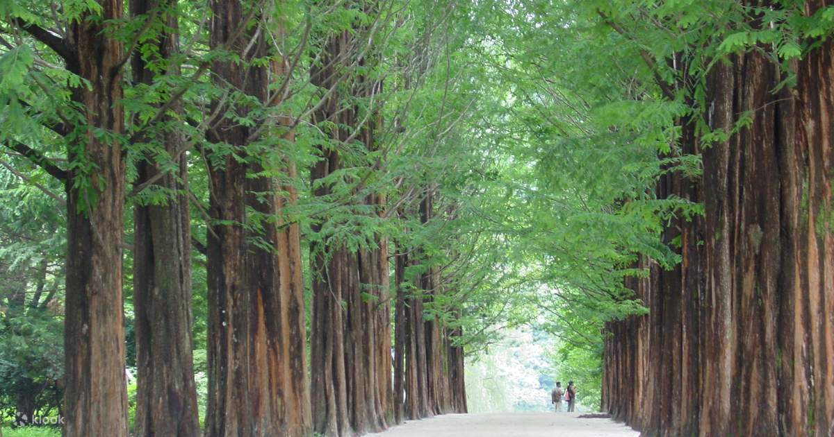 Nami Island and Mt. Seorak Day Tour - Klook United States