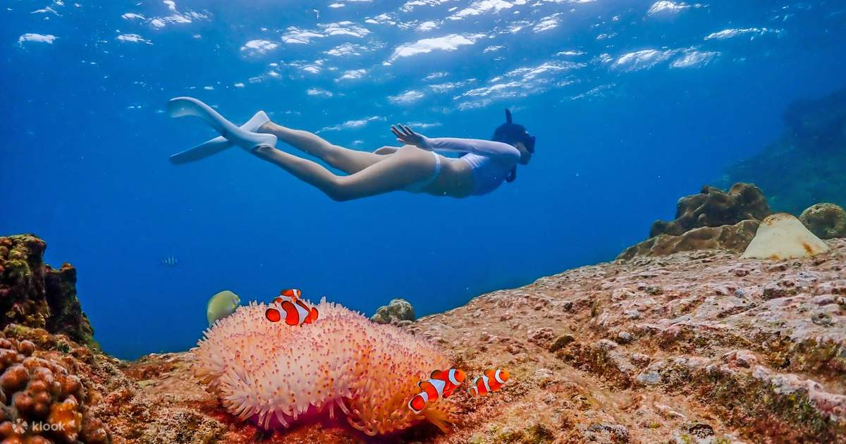 Sertai Dari Bangkok : Pengalaman Pulau Nemo Dengan Foto Drone Dan Makan ...