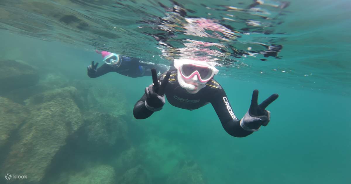 Experience free diving in the sea of Seogwipo, Jeju Island - Klook