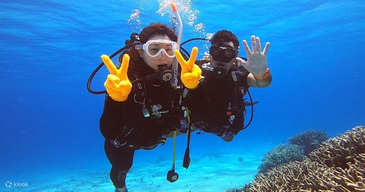 Online reservation for Ishigaki Island diving experience - Klook