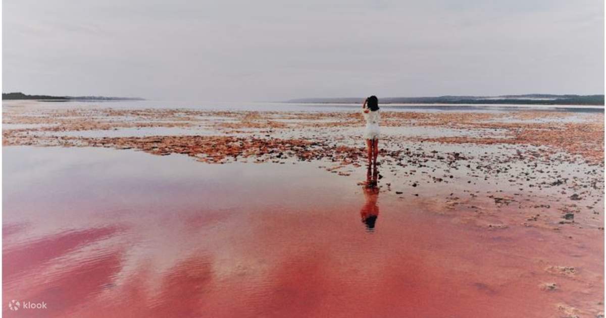 2 Day Pink Lake and Kalbarri Tour - Klook