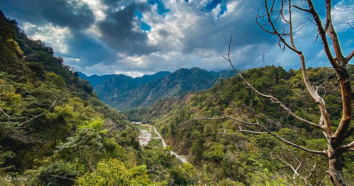 Taichung: Baxianshan Forest Recreation Area & Guguan Hot Spring Day ...