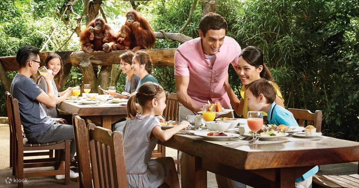 Singapore Zoo Breakfast - Klook Australia