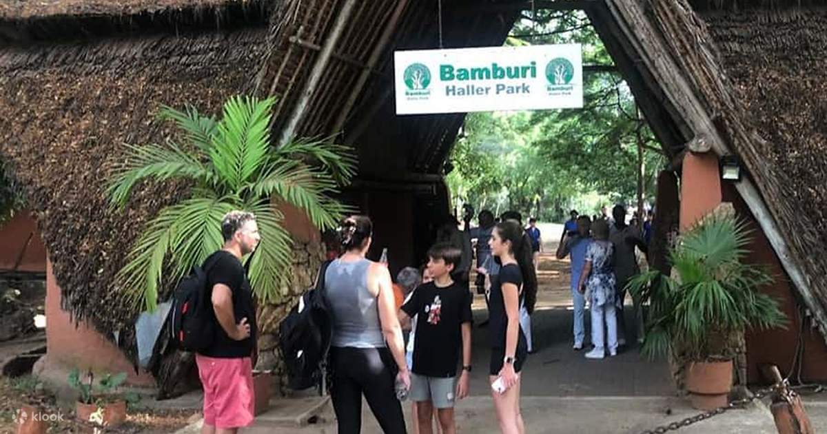 Haller Park Wildlife Encounter & Giraffes Feeding Excursion Mombasa ...
