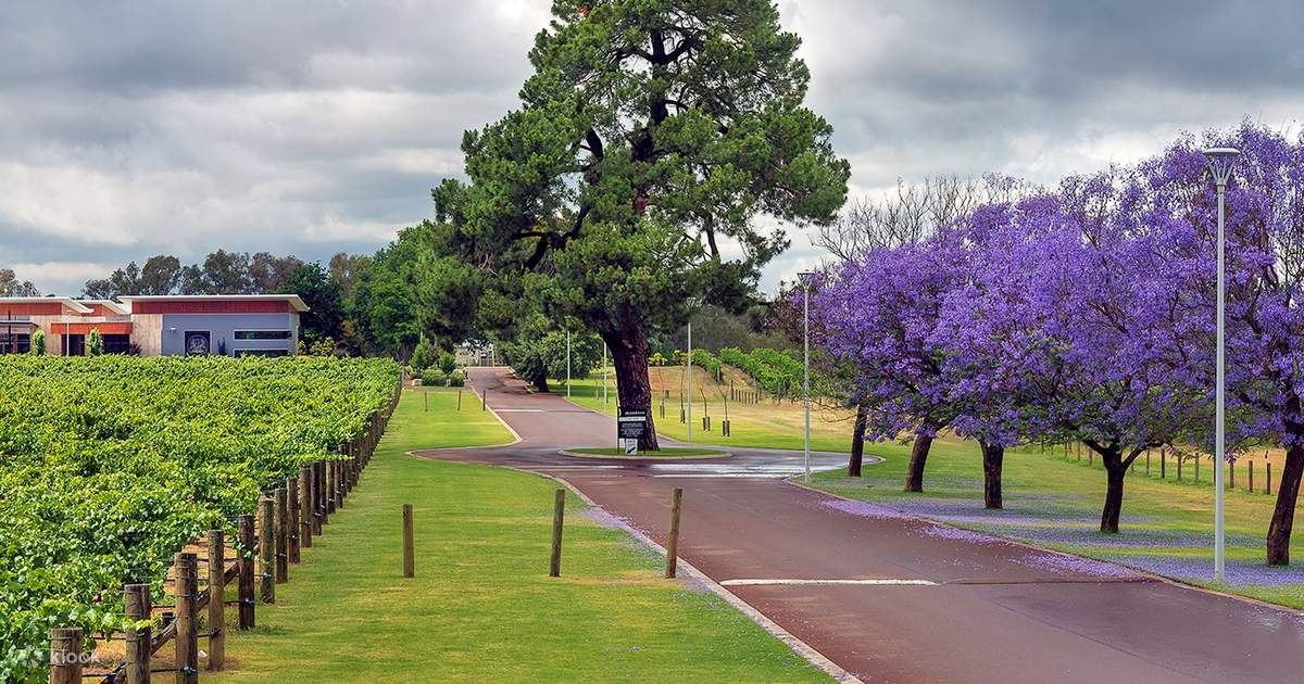 The Ultimate Winery Experience in Mandoon Estate - Klook Canada