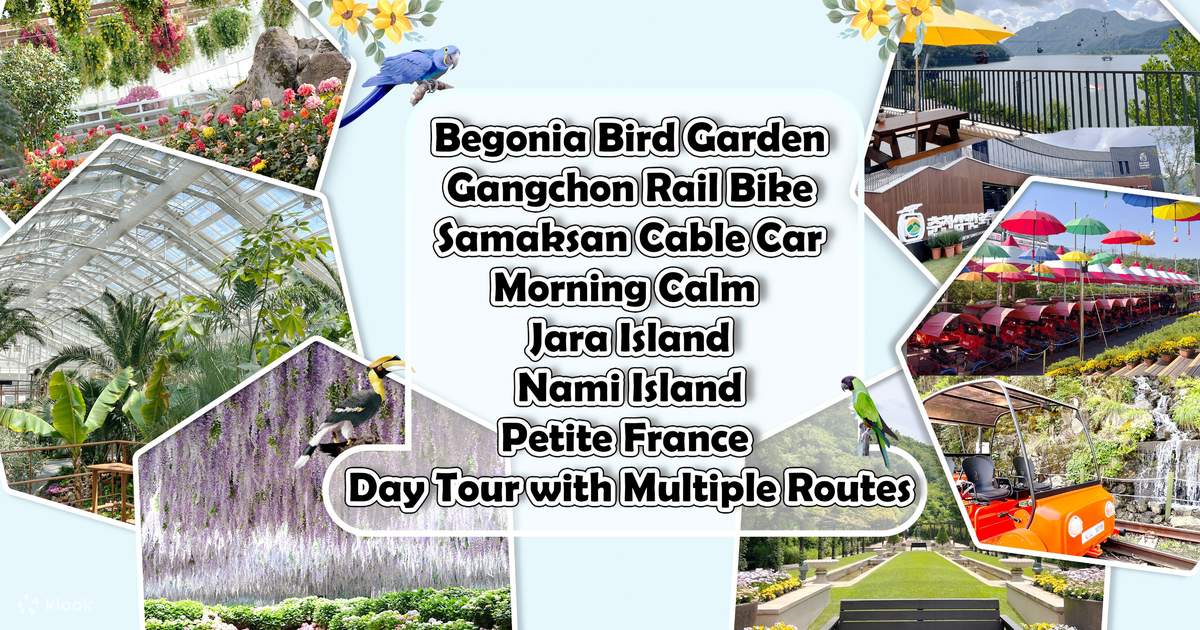Begonia Garden-Petite&Italian Village-Jara Island Cherry Blossoms - Klook