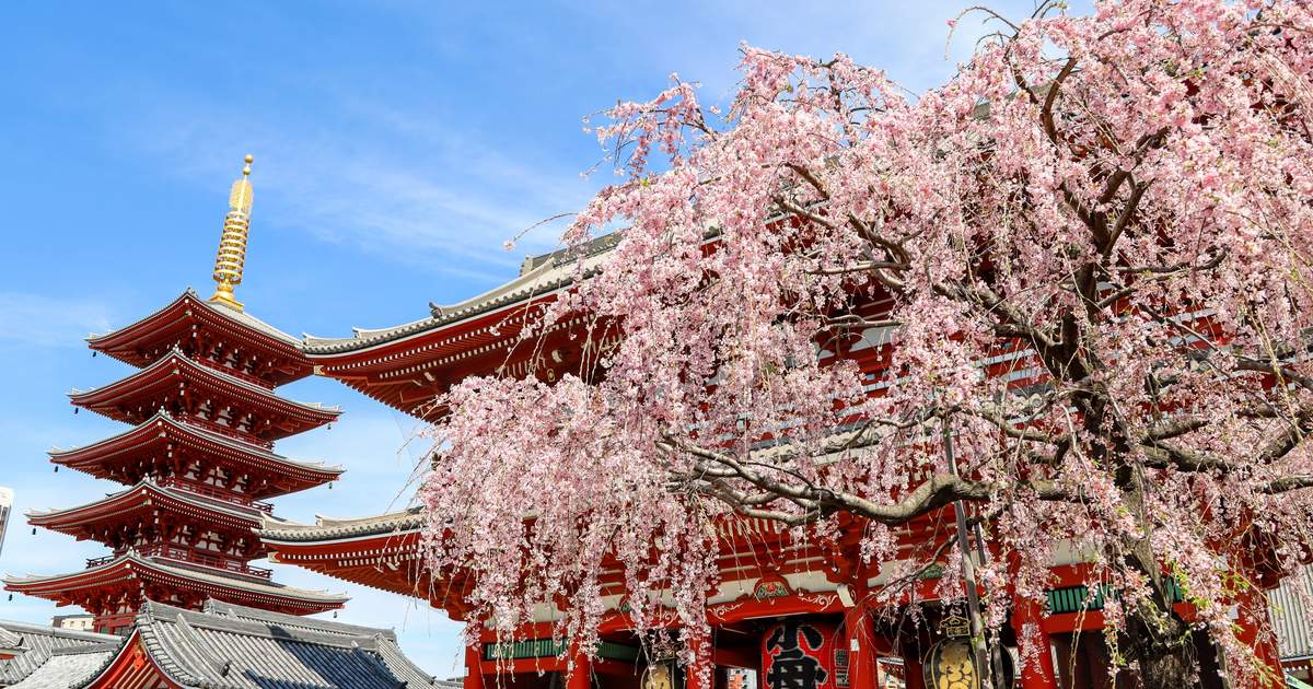 Tokyo Amazing Sightseeing Bus Day Tour - Klook United States