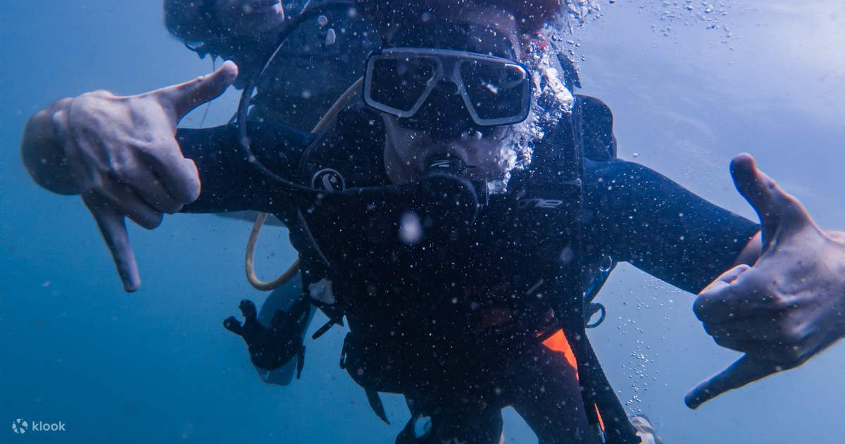Experience the Thrill of Scuba Diving in Koh Kood with our PADI 5 Star ...