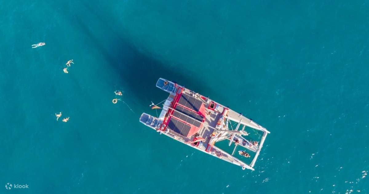 特內里費島的鯨魚和海豚觀賞和聆聽體驗 Klook香港
