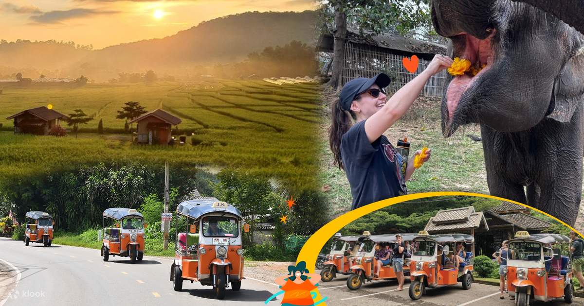 Chiang Mai: Cuộc phiêu lưu 1 ngày cùng tài xế Tuk Tuk - Klook Việt Nam