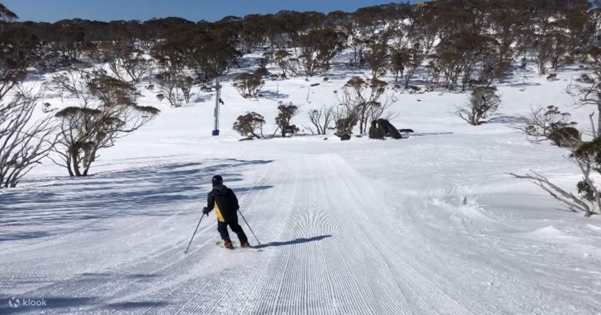 Perisher Valley Snow Trip From Sydney by Ozia Tours - Klook Australia