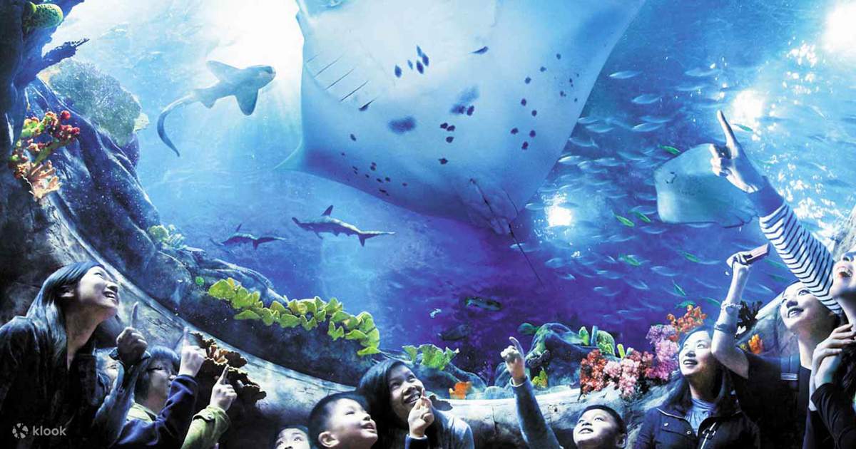 Discount Ocean Park Hong Kong Tickets - Klook