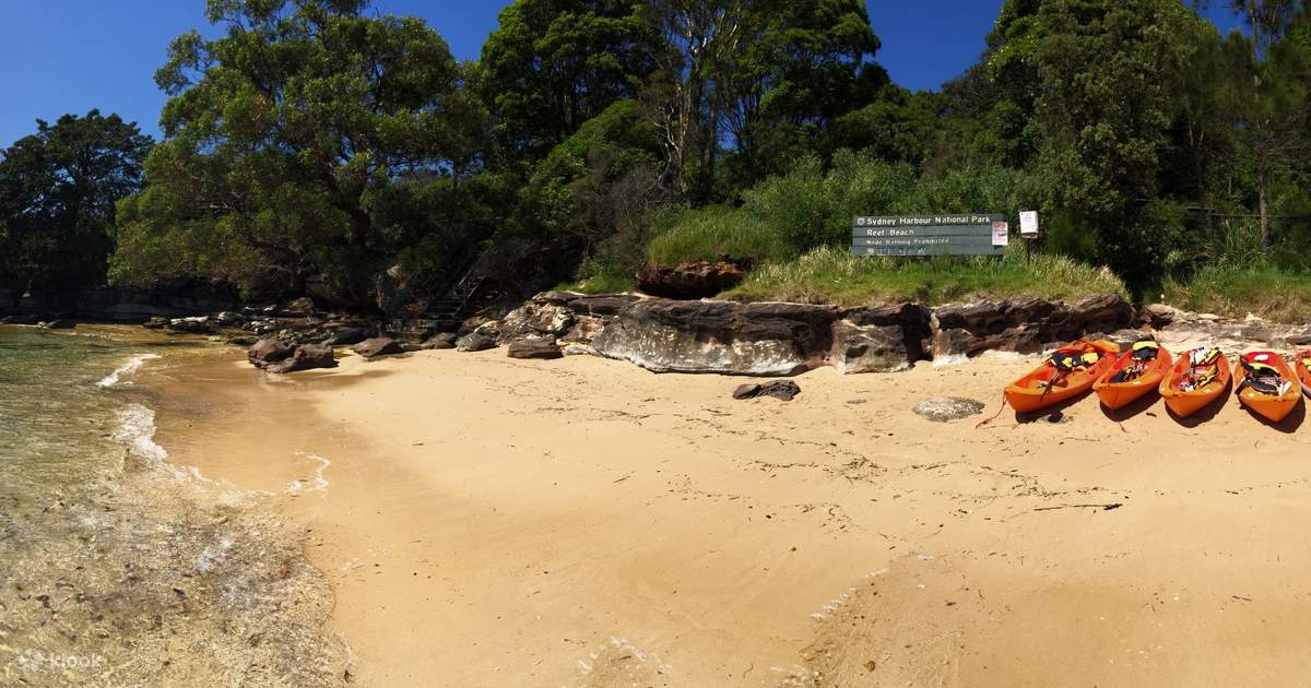 Excursion en kayak sur la plage de Manly - Klook États-Unis