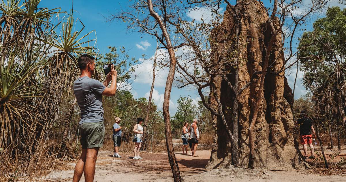 Litchfield Nationalpark Tagestour - Klook, Vereinigte Staaten