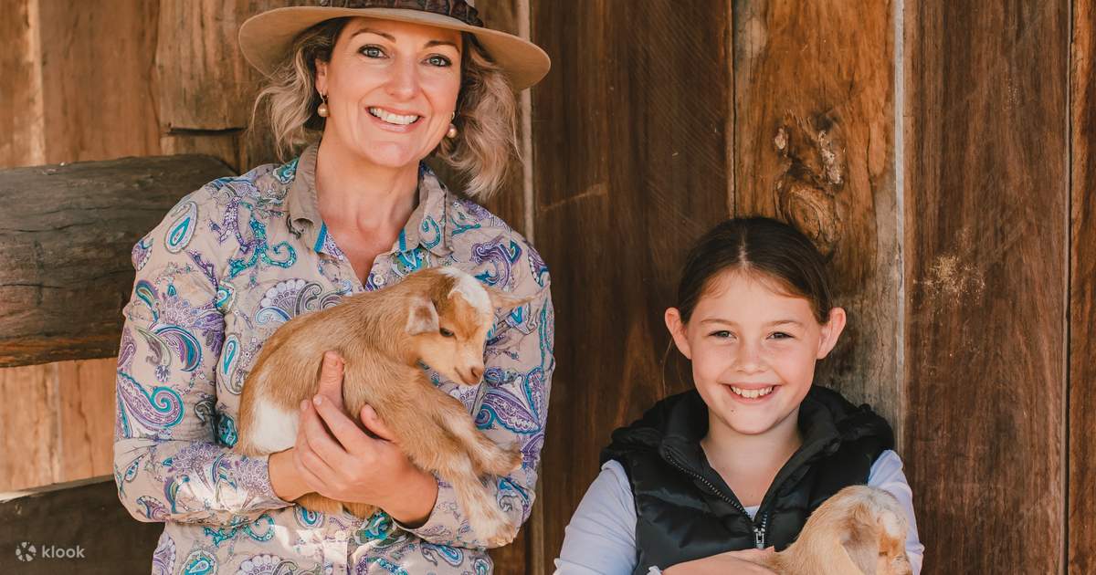 Splitters Farm Guided Tour in Bundaberg - Klook Malaysia