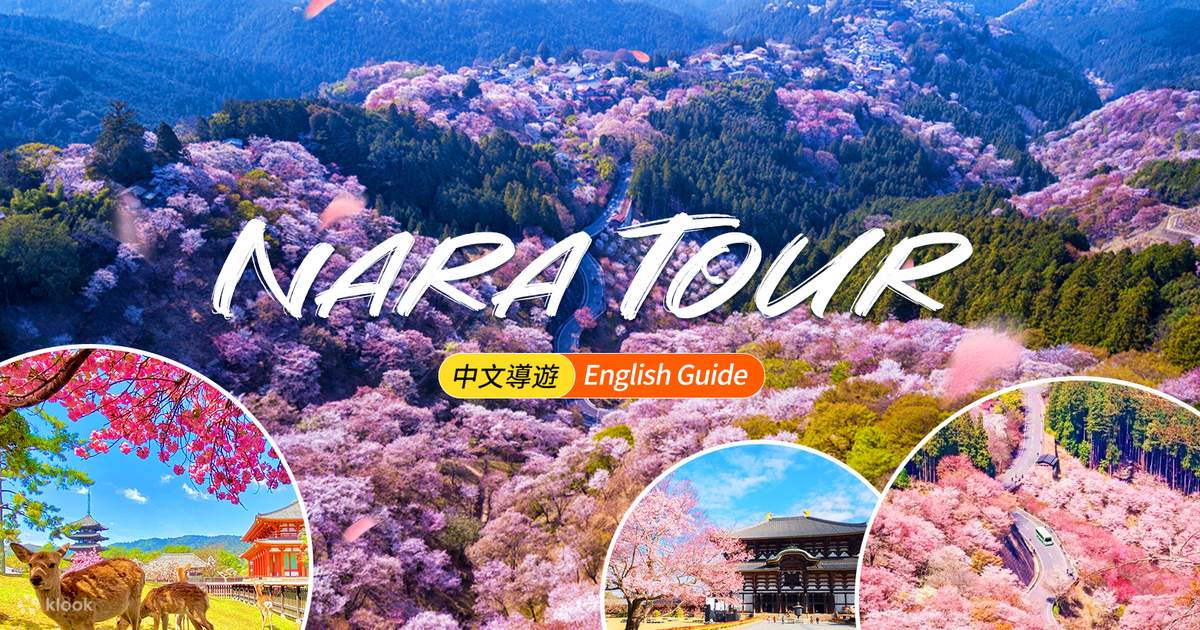 Cherry Blossom Season Only｜Nara Park, Todaiji Temple, Yoshinoyama ...