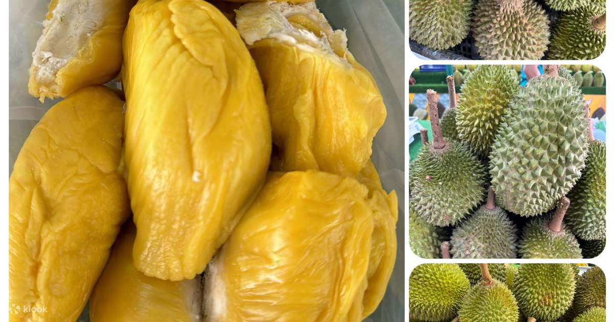 Old Tree Musang King Durian at 333 Durian Johor Bahru - Klook Philippines