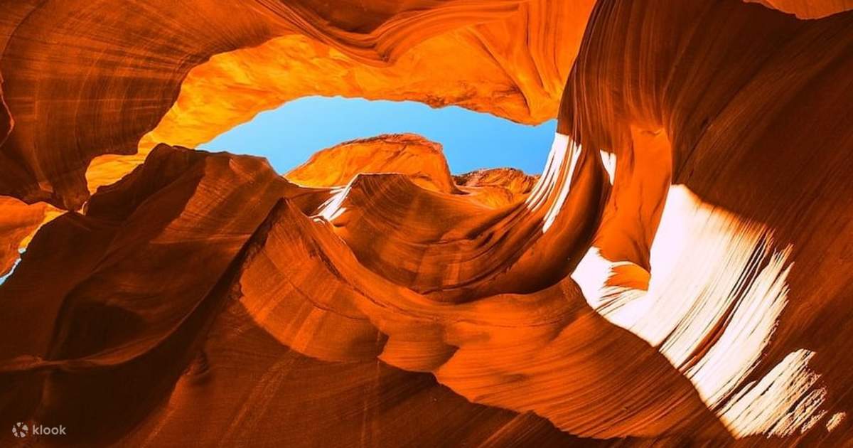 Tur Gabungan Taman Nasional Barat Daya dan Yellowstone 6D5N dari Los ...