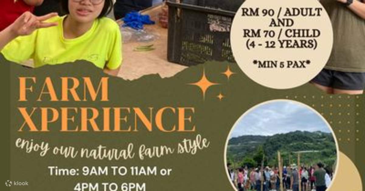 Experiencia en la Granja en las Tierras Altas de Lojing - Klook Estados ...