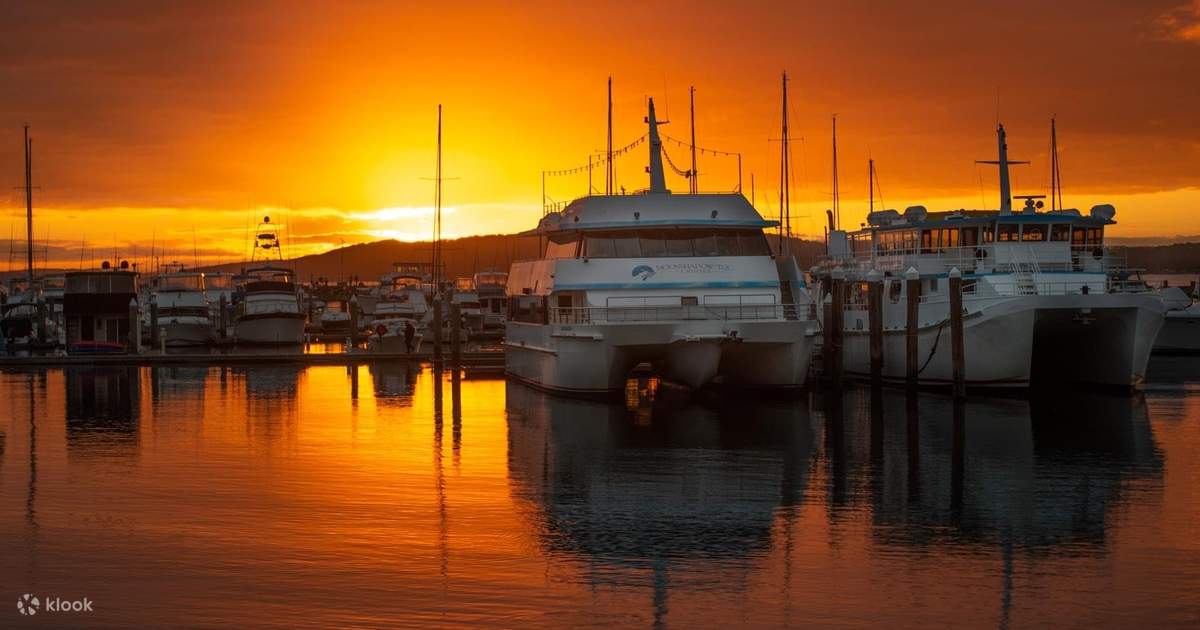 Eats 'N' Beats Dining Cruise Experience in Port Stephens - Klook