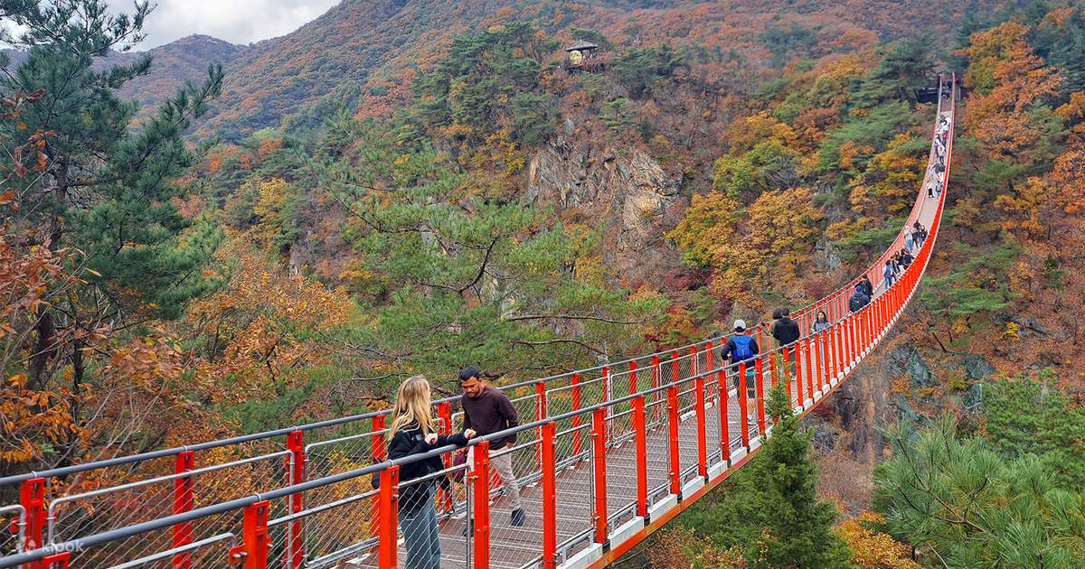 Korea DMZ (Demilitarized Zone) Drama Filming Location One Day Tour - Klook