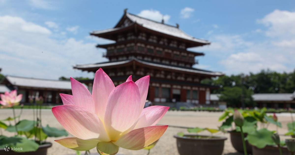 Nara: Tiket Empat Kuil Nishi-kyōren Lotus Road (Kuil Saidaiji, Kuil ...
